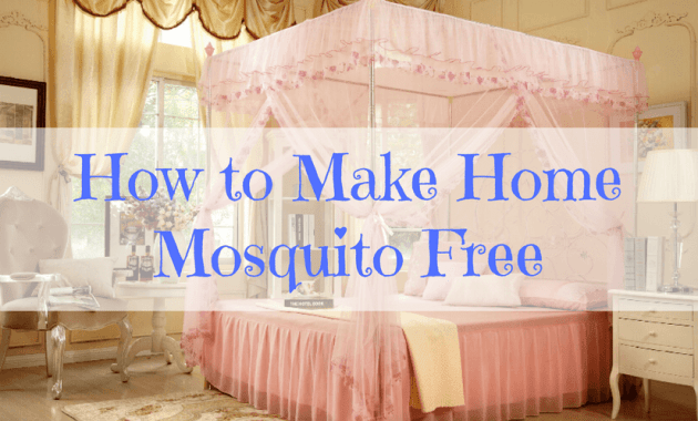 How to Make Home Mosquito Free