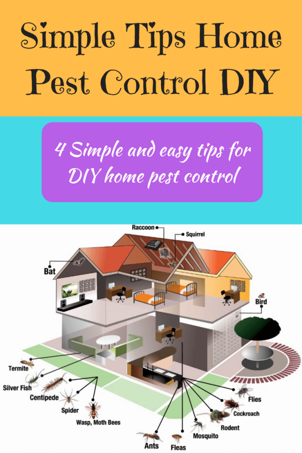 Home Pest Control DIY - EasyHomeTips.org