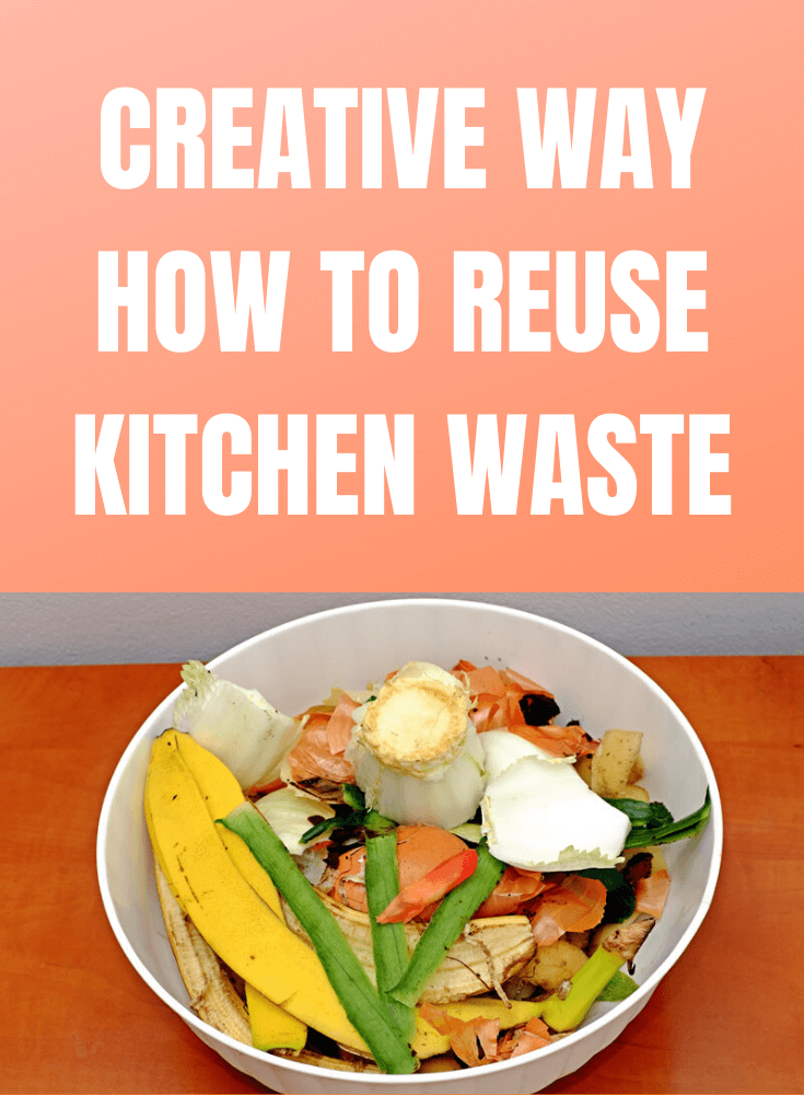 List Of Most Creative Way How To Reuse Kitchen Waste EasyHomeTips