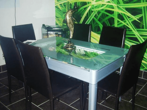 Fish tank aquarium dining table | EasyHomeTips.org